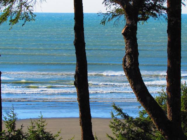 Ocean Crest Resort (Moclips, WA) - Resort Reviews - ResortsandLodges.com