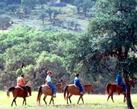 Dixie Dude Ranch (Bandera, TX) - Resort Reviews - ResortsandLodges.com