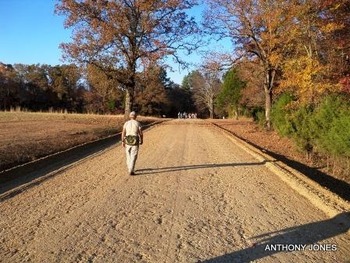 West Tennessee Travel Guide - ResortsandLodges.com