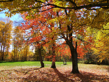 Central Minnesota Travel Guide - ResortsandLodges.com