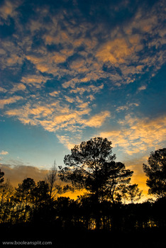 Alabama Travel Guide - ResortsandLodges.com